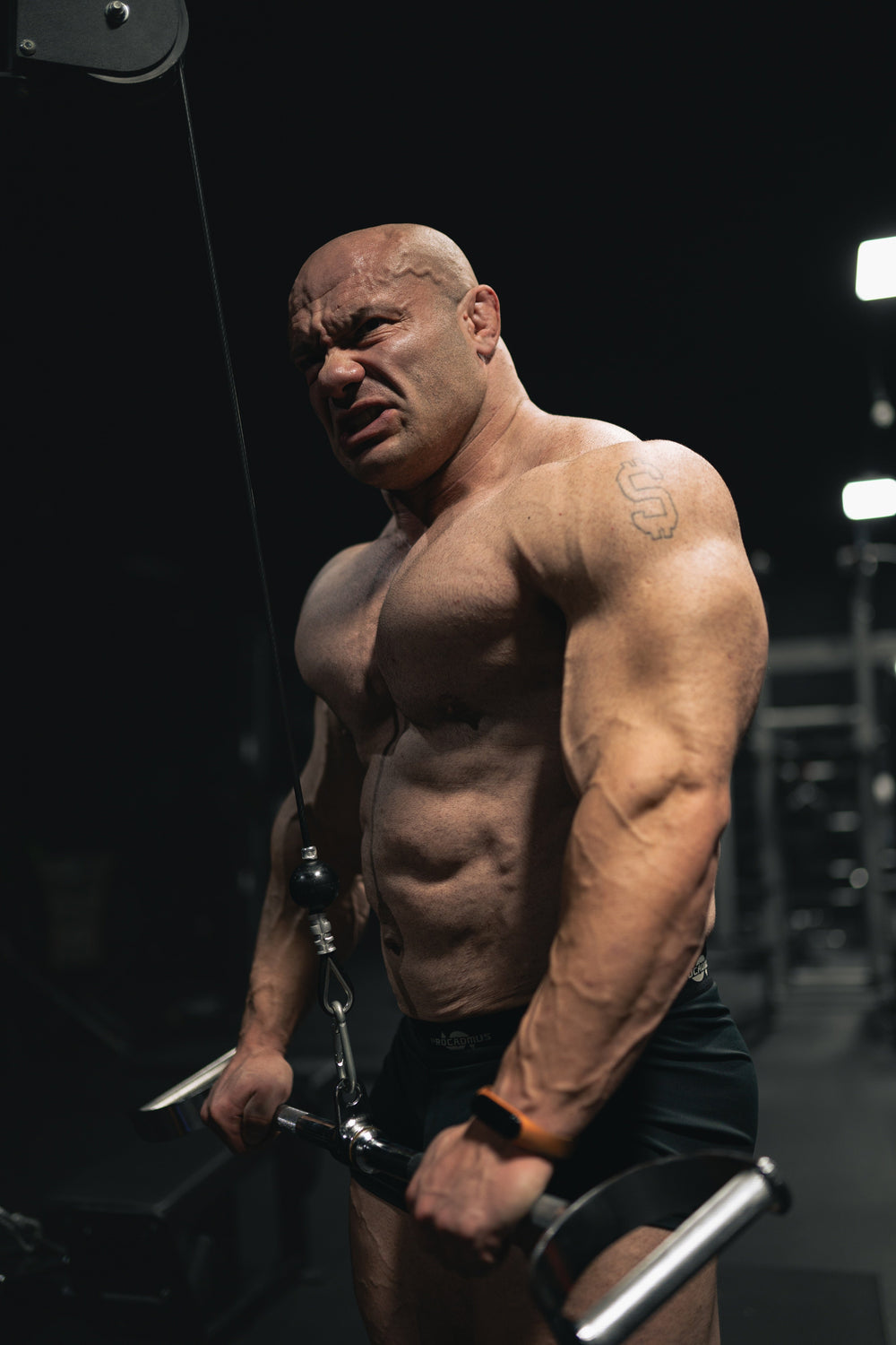 Strength Training Guides, Bodybuilding Articles, Weight Lifting ...