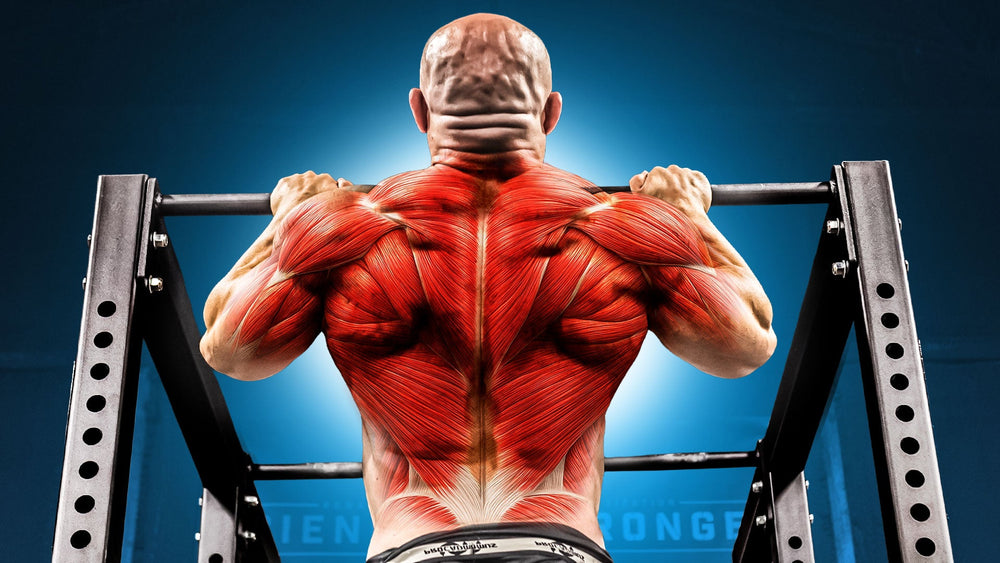RP Strength Videos, Dr Mike Israetel Videos, Hypertrophy Videos