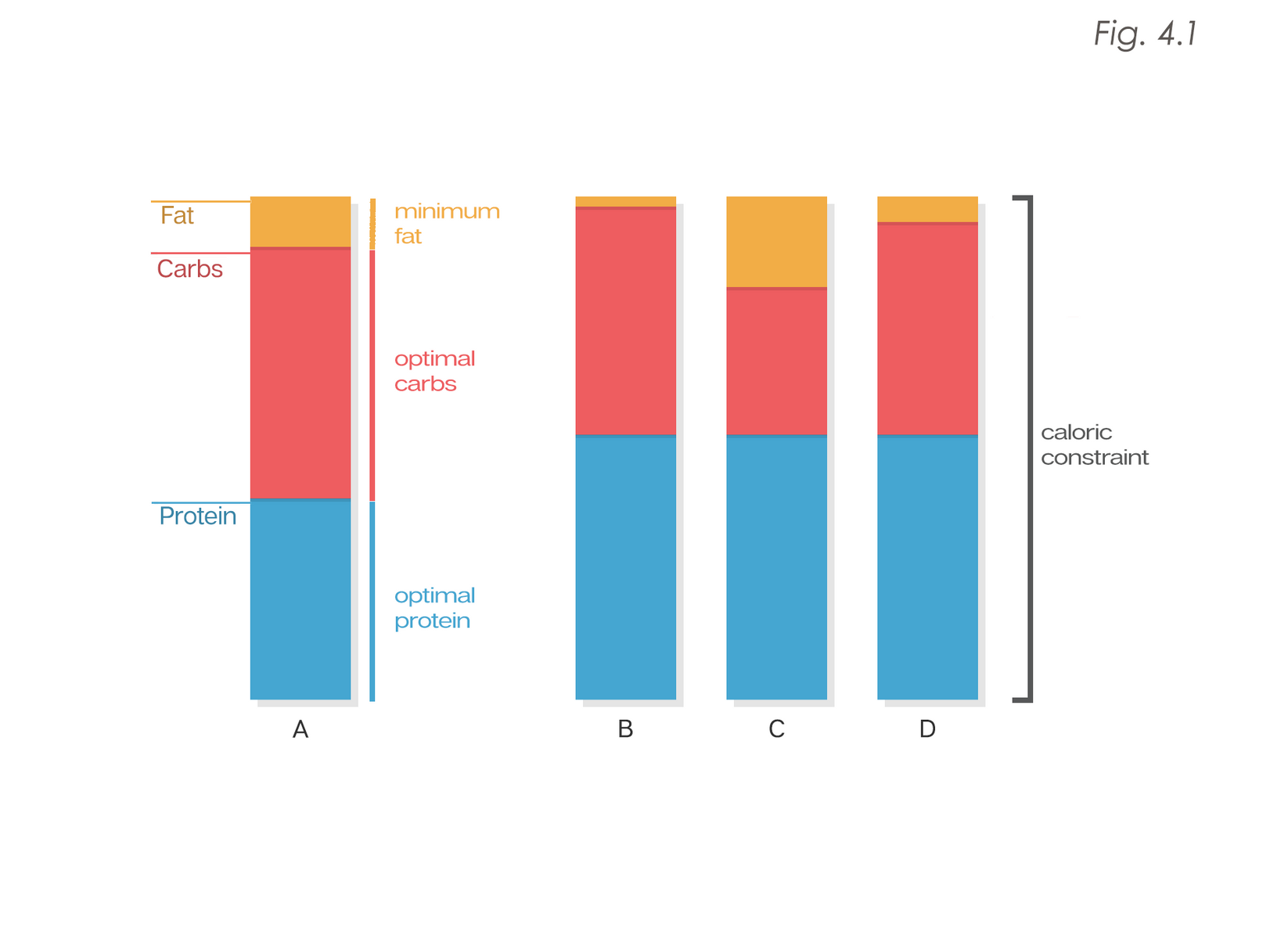 The Renaissance Diet 2.0 | RP Strength