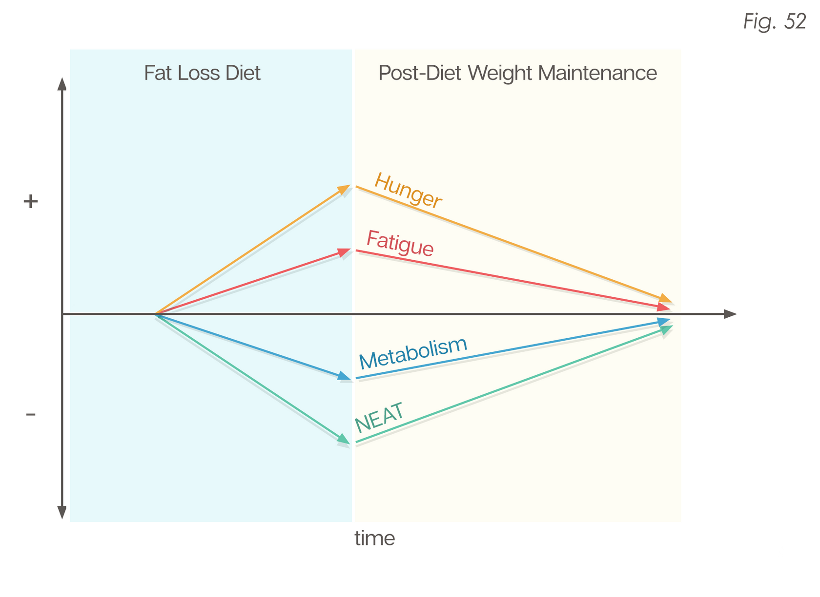 The Renaissance Diet 2.0 | RP Strength